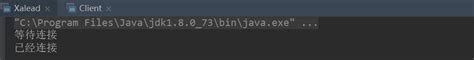 Java Tcp Java Net Socketexception Csdn
