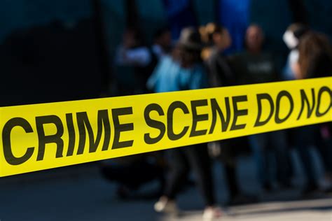 Using Dust To Bust Crime Scene Dna Forensics Techcodex