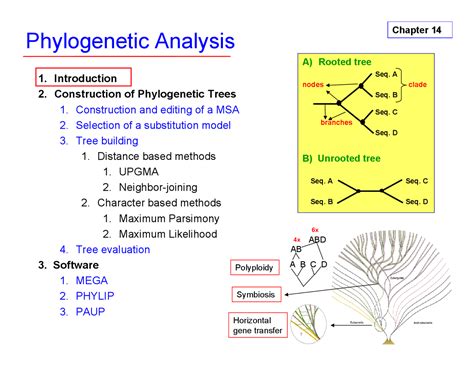 Notes On Phylogenetic Analysis Applied Bioinformatics Bit 150