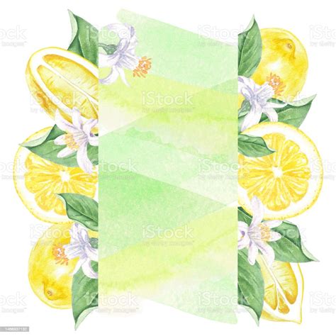 레몬의 수채화 프레임 휴일 결혼식 및 음식 디자인에 사용하기 위해 식물 스타일로 손으로 그린 슬라이스 감귤류 열대 과일의 배경은 패키지 카드 및 기타 디자인을 장식합니다 0