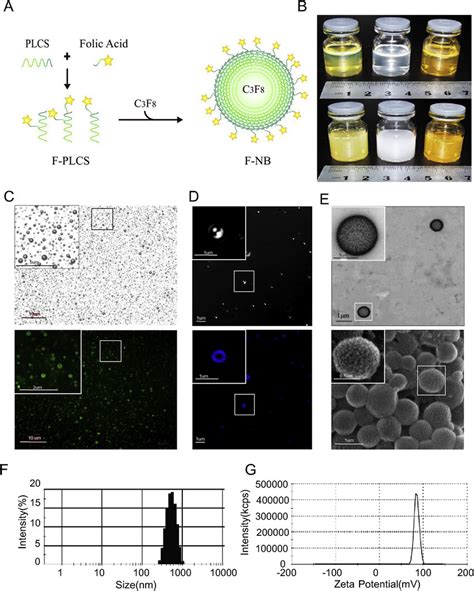 Physicochemical Properties Of Nanobubbles Nbs A Schematic