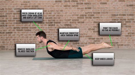 What Muscles Does Locust Pose Work