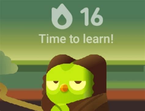 Guys Im Trying To Get All The Duolingo Widgets Send Me Your Best But Whats Not In There The