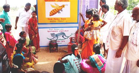 Gallery Examples World Bee Project