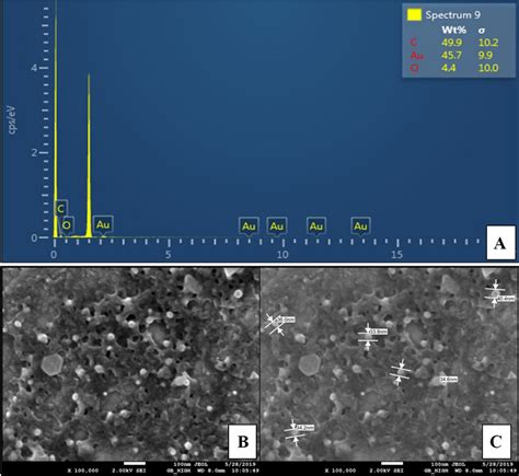 Edx And Sem Analyses Of Biologically Synthesized Gold Nanoparticles