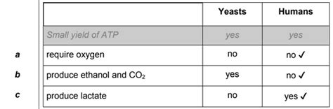 Mock Exam IB DP Biology SL Paper Set
