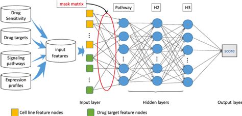 Illustrative Diagram Of The Data Sources And Structure Of The