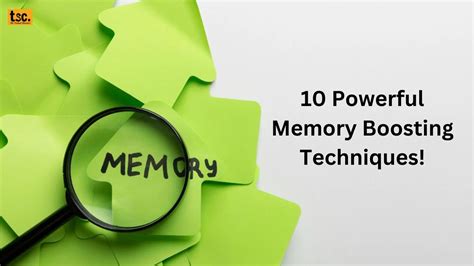 Unlock Your Learning Potential 10 Powerful Memory Boosting Techniques Babe Chapters