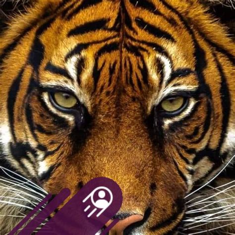 ข่าวเวิร์คพอยท์ 23 ‘แพรรี่ ไพรวัลย์ ซัดแรง หนัง ‘หุ่นพยนต์ ถูกบังคับตัดฉากเณรกอดแม่ที่กำลัง