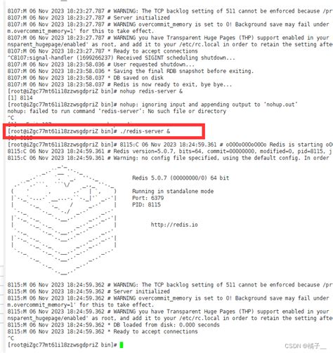 在linux系统中后台启动redislinux Redis 后台启动 Csdn博客