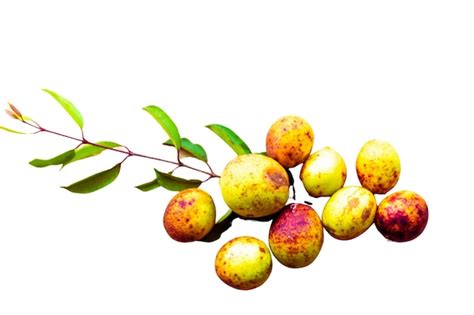 Premium Photo Hancornia Speciosa Mangaba Fruit On White Background