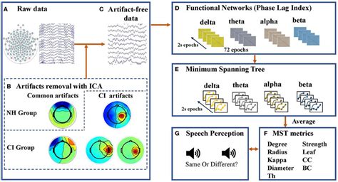 Figure Schematic Overview Of Minimum Spanning Tree Mst Analysis Download Scientific Diagram