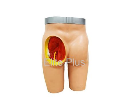 Adult Intramuscular Injection Training Manikin Pvc Material Ivory Color Left Gluteal
