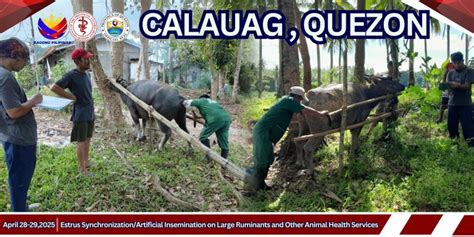 Official Website Of The Provincial Government Of Quezon