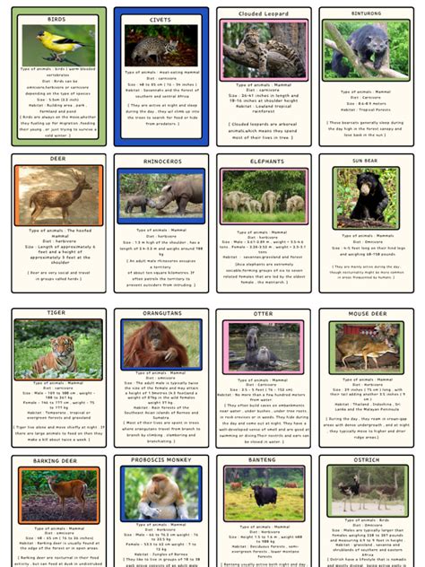 Spelling Pattern Mastery Flashcard In Green White Simple Lined Style Pdf Pdf Mammals Deer