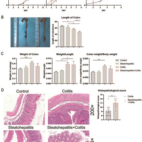 Uc Related Phenotypes Of The Combined Model A Colitis Severity Download Scientific Diagram