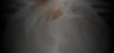 Whitney Able Nude Naked Pics And Sex Scenes At Mr Skin