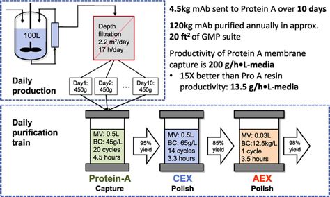 Rapid Multi Cycling Enables Small Footprint Dsp To Match The Throughput Download Scientific