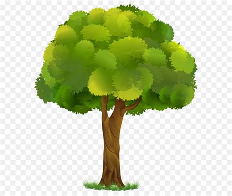 Icon Clip Art Transparent Green Tree PNG Clipart Png Download 938 1227 Free Transparent