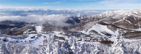 日本最大 志賀高原滑雪區 Shiga Kogen