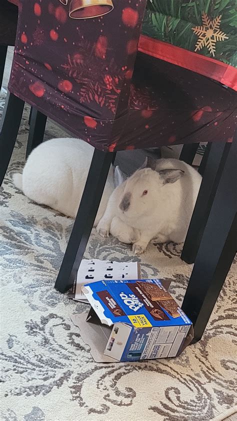 Goodbye Ruby Rmurderbuns