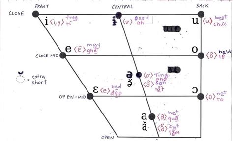 Ipa Chart For Vietnamese With English Examples Based On Standard