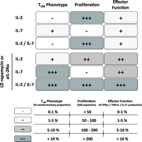 In Vitro Generation Of T Cm Cells Is Growth Factor Dependent Download Scientific Diagram