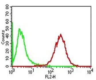 Flow Cytometry Protocol NeoBiotechnologies