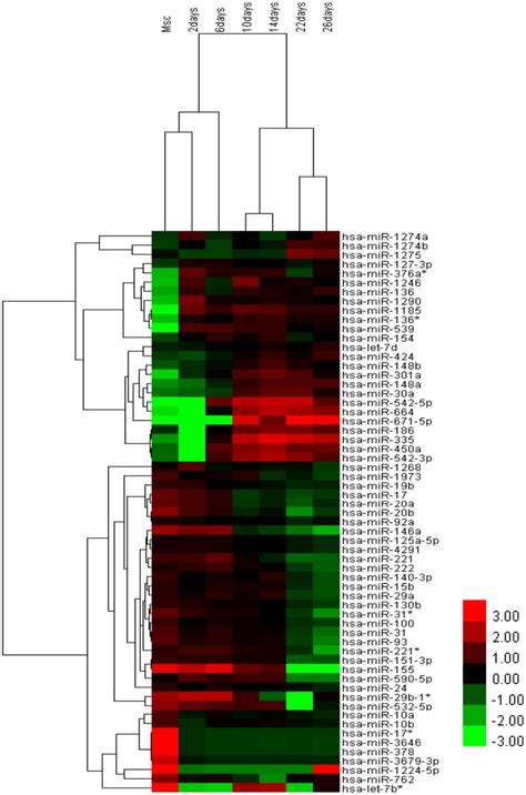An Unsupervised Hierarchical Cluster Analysis Was Performed On