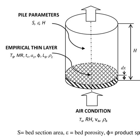 Maize Model Comparison Basis Physical Parameters Download Table