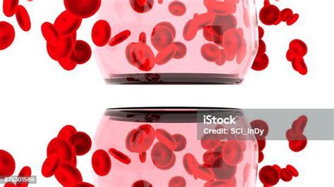 붉은 혈액 세포 과학 교육에 대 한 유리와 흰색 배경에 고립 건강관리와 의술에 대한 스톡 사진 및 기타 이미지 건강관리와 의술 과학 동맥 Istock