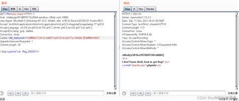 CTFHub php input php input ctf CSDN博客
