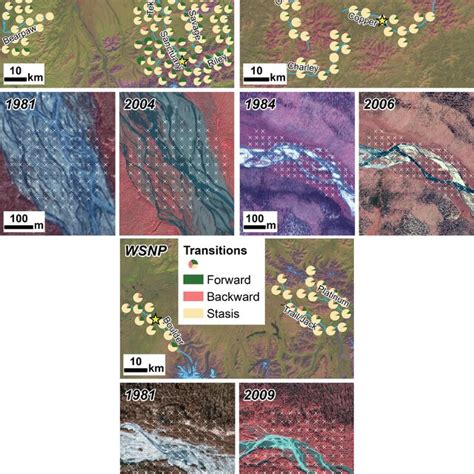 Regional Maps Showing The Proportion Of Forward Transitions Backward