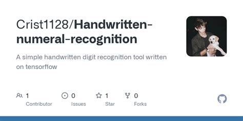 Github Crist1128handwritten Numeral Recognition A Simple