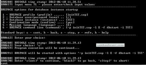 How To Startup Sap Oracle Instance Using Brtools Sap Basis Easy