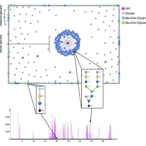 General Method For Creation And Use Of Glycan Microarrays From