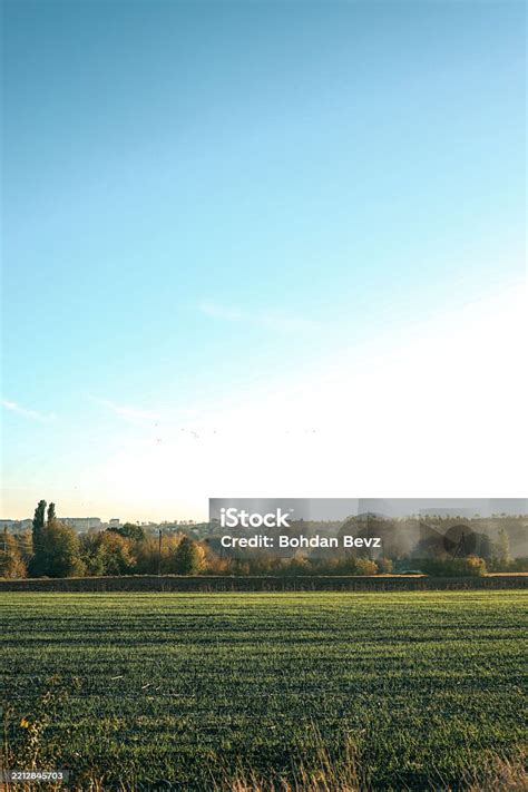 푸른 들판과 먼 마을 위로 평화로운 가을 일출 잔디밭에 긴 그림자를 드리우는 황금빛 빛과 나무와 지붕 위로 따뜻한 안개 0명에 대한 스톡 사진 및 기타 이미지 Istock
