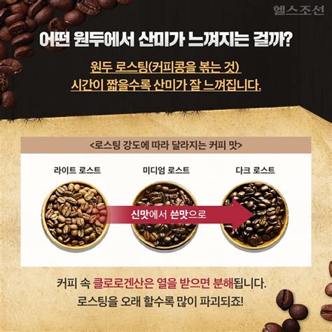 카드뉴스 산미 Vs 고소한 맛 건강에 더 좋은 커피는 당신의 건강가이드 헬스조선