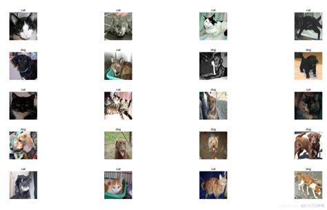 猫狗python机器学习数据集 猫狗分类数据集下载mob64ca1406d617的技术博客51cto博客