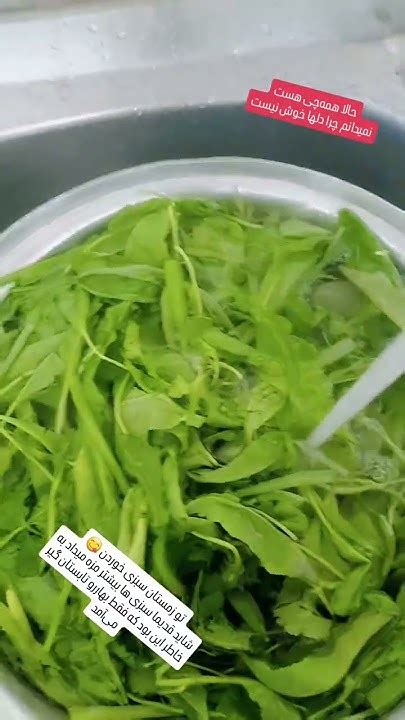 تو زمستان سبزی خوردن؟آیساناشرفی اکسبلورر آیساناشرفی اکسپلور کلیپ