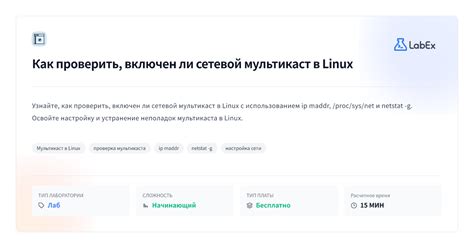 Как проверить включен ли сетевой мультикаст в Linux Labex