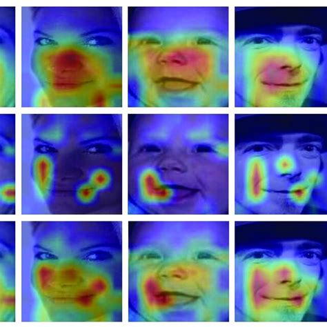 Visual Comparison Of Class Activation Mapping Cam Among Input Download Scientific Diagram