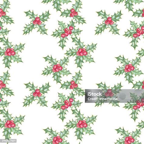 호랑가시나무 잎과 열매가 매끄럽게 수채화 패턴으로 표현되어 있습니다 휴일 직물에 사용하기위한 손으로 그린 Ilex 클립 아트