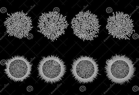 Cellular Automaton Diffusion Limited Aggregation Structures Set Stock