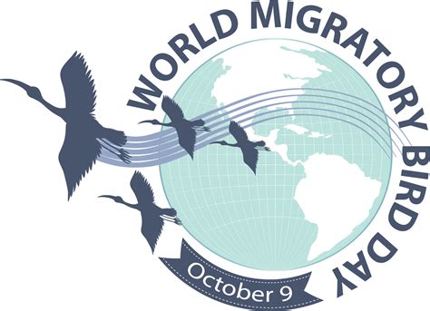 World Migratory Bird Day Vector Art Icons And Graphics For Free Download