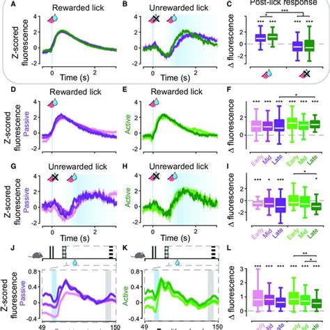Phasic Vta Dopamine Activity Reflects Reward Prediction Errors A And Download Scientific