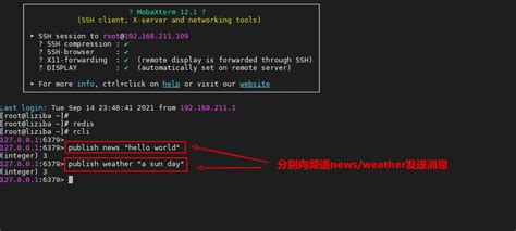 Redis精通系列——pubsub（发布订阅）redis Pub Sub Csdn博客