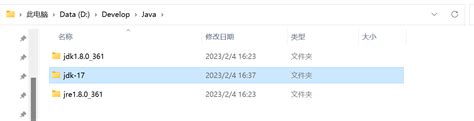 【2023最新】jdk安装 idea配置一条龙 idea2023匹配哪个jdk csdn博客