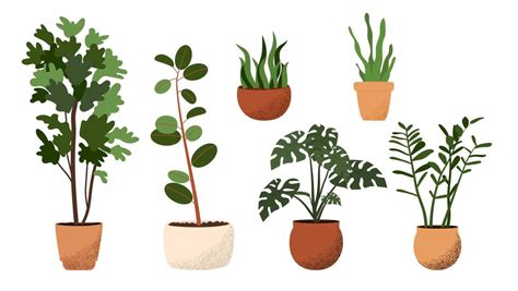 Pot Leaf Vector Art Icons And Graphics For Free Download