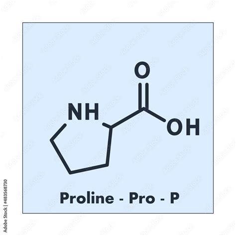 Proline Pro P Conditionally Essential Amino Acid Molecular Formula Flat Chemical